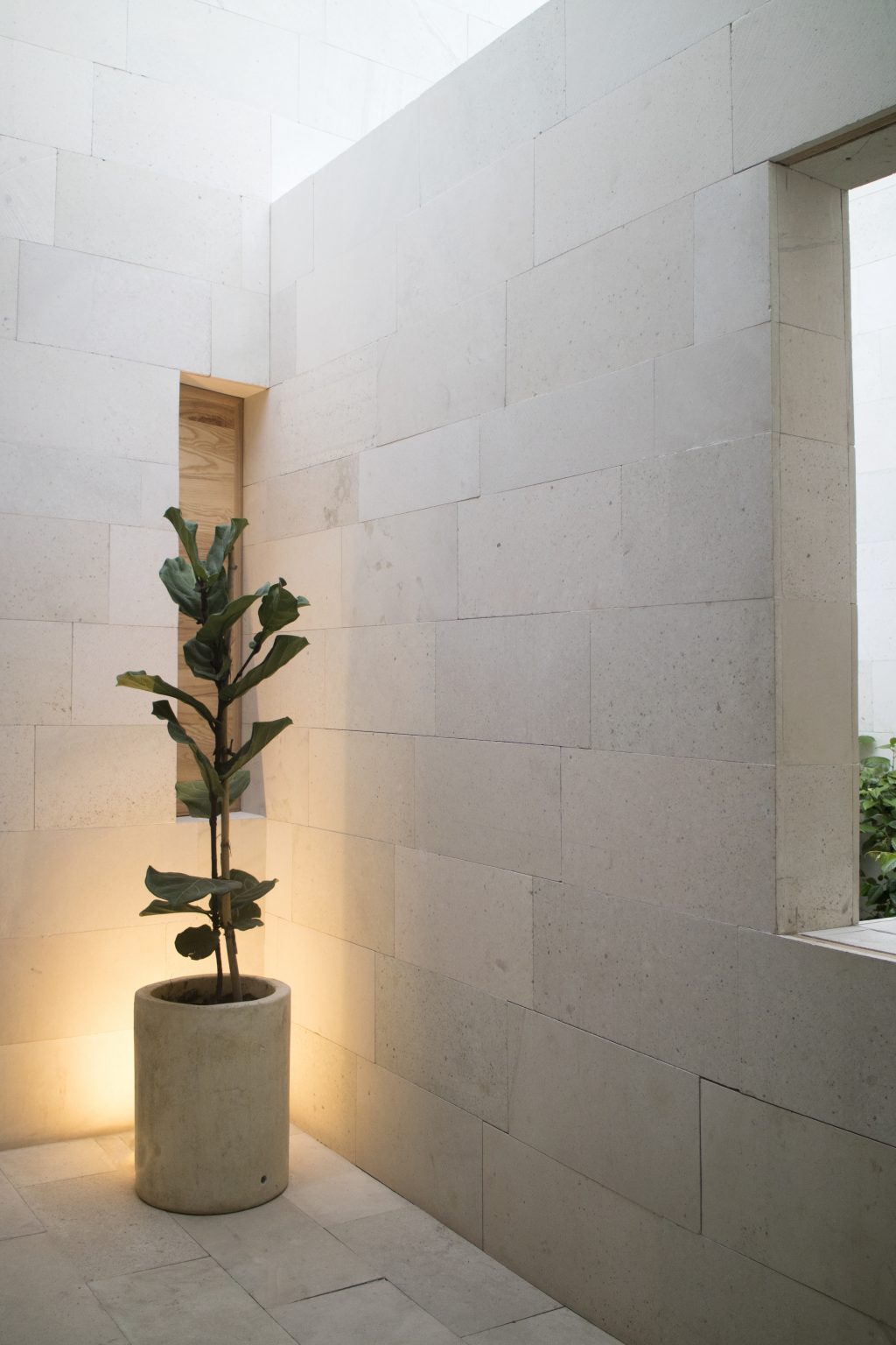 CÍRCULO MEXICANO – Luca Salas